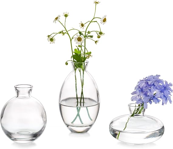Amazon.com: Glasseam Clear Glass Bud Vase, 3Pcs/Set Modern Decorative ...