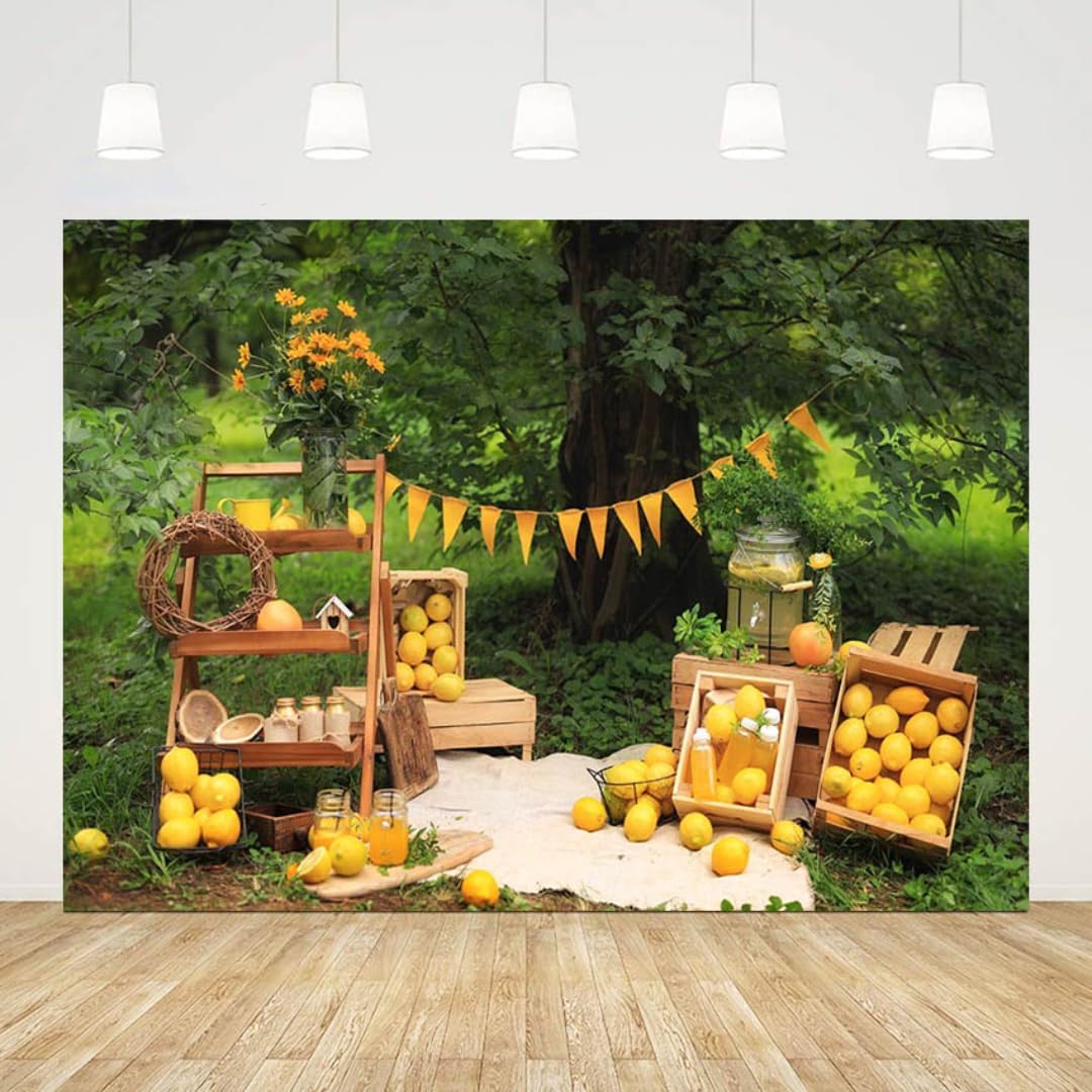 Amazon.com : Lemon Yellow Wooden Door Girl 1st Birthday Photography ...