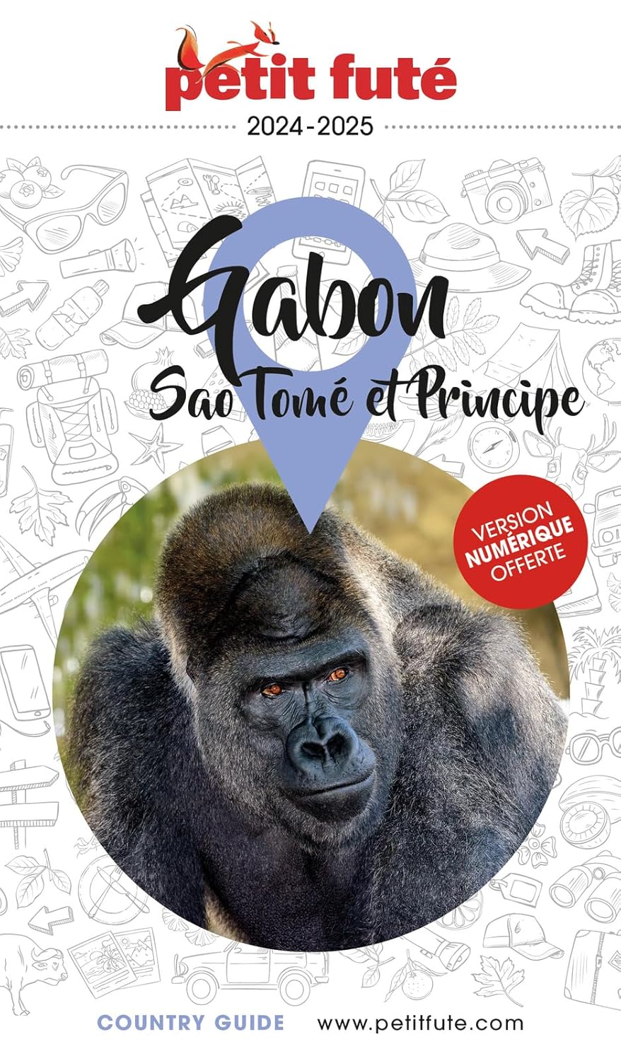 Guide Gabon 2025 Petit Futé: Sao Tome et Principe : Amazon.sg: Books