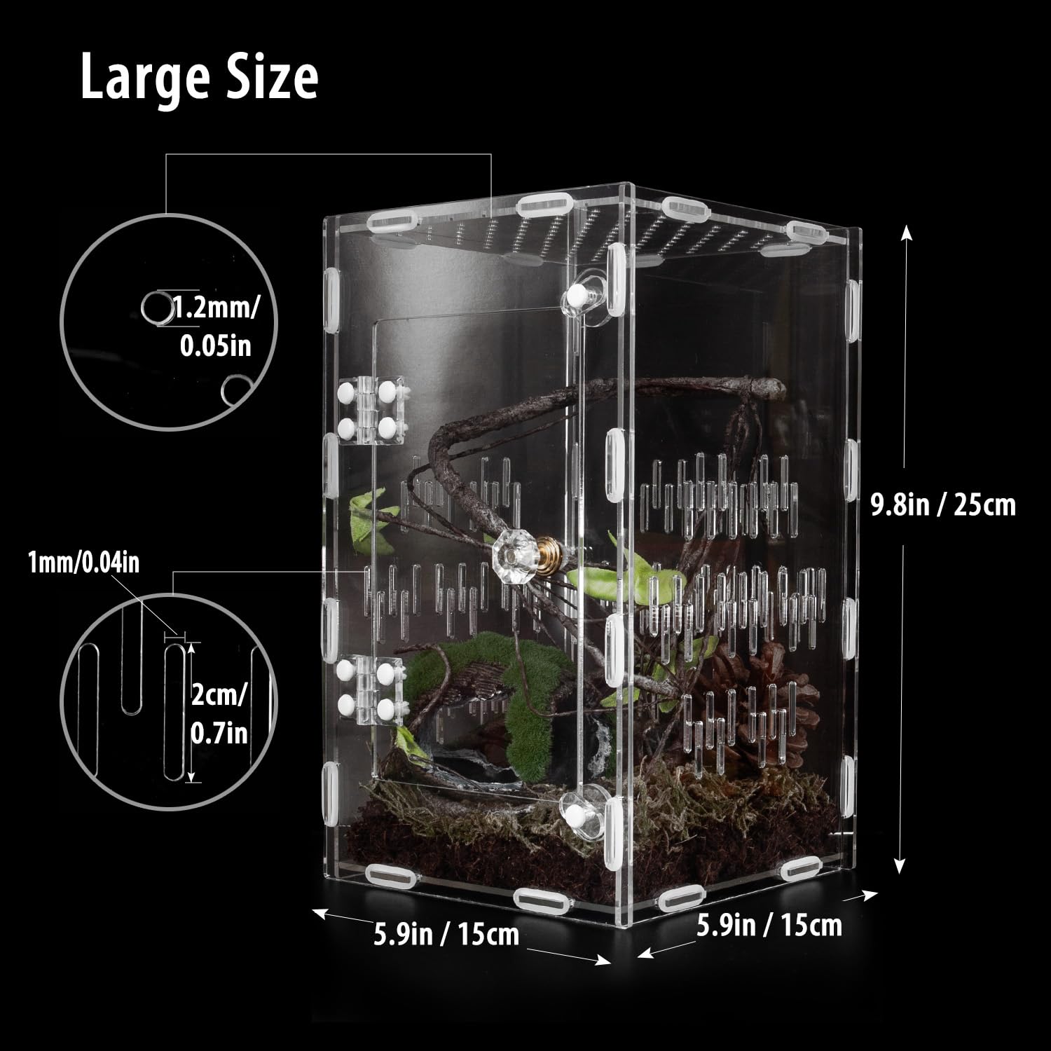 Praying Mantis Enclosure Size