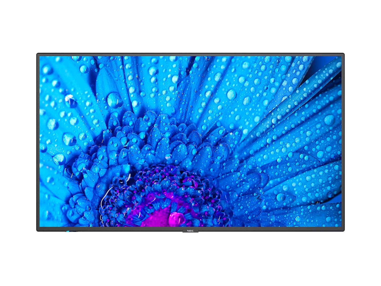 Amazon.com: NEC Display 86" Ultra High Definition Professional Display ...