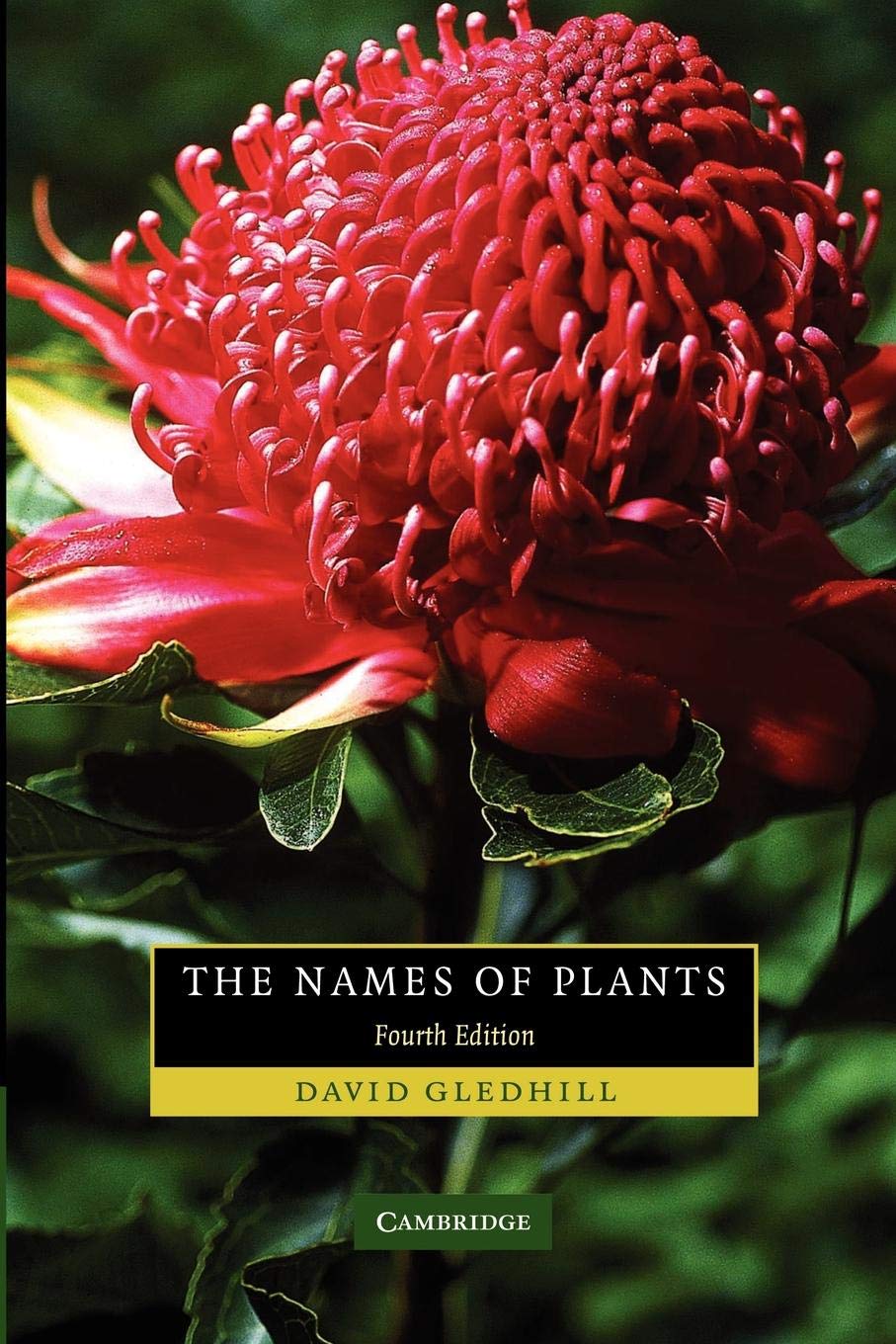 Amazon.com: The Names of Plants: 9780521685535: Gledhill, David: Books