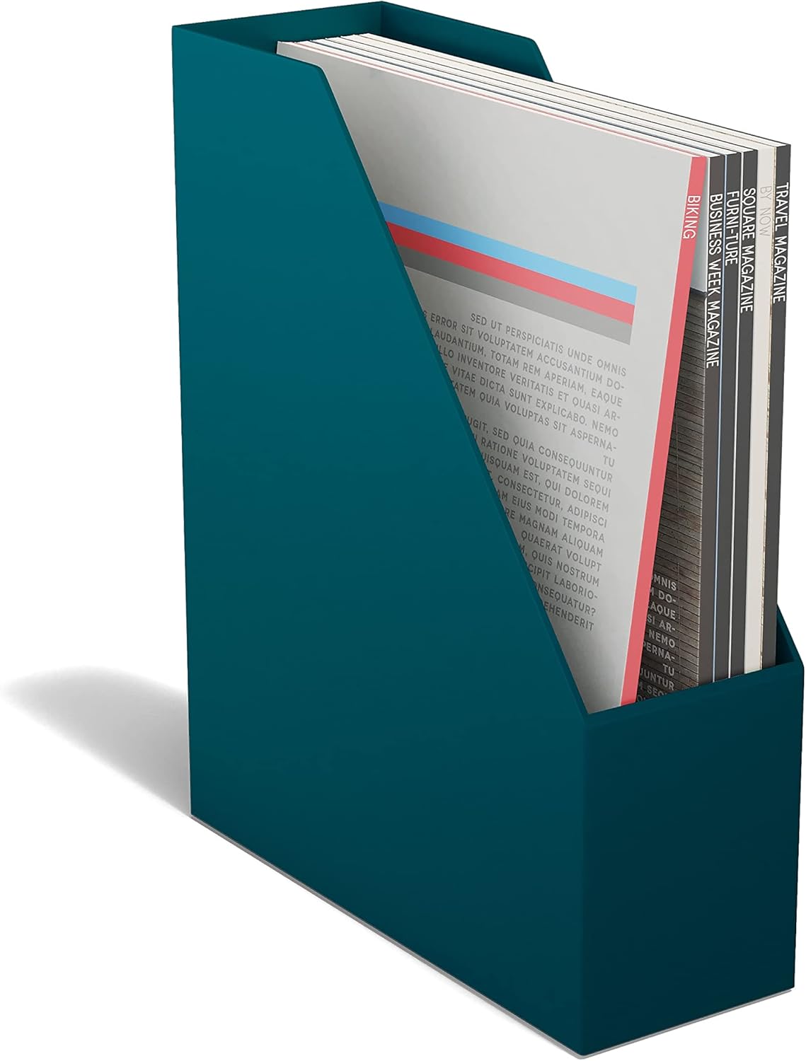 Amazon.com : Staples TRU RED Plastic Magazine File, 2/Pack (TR55283 ...