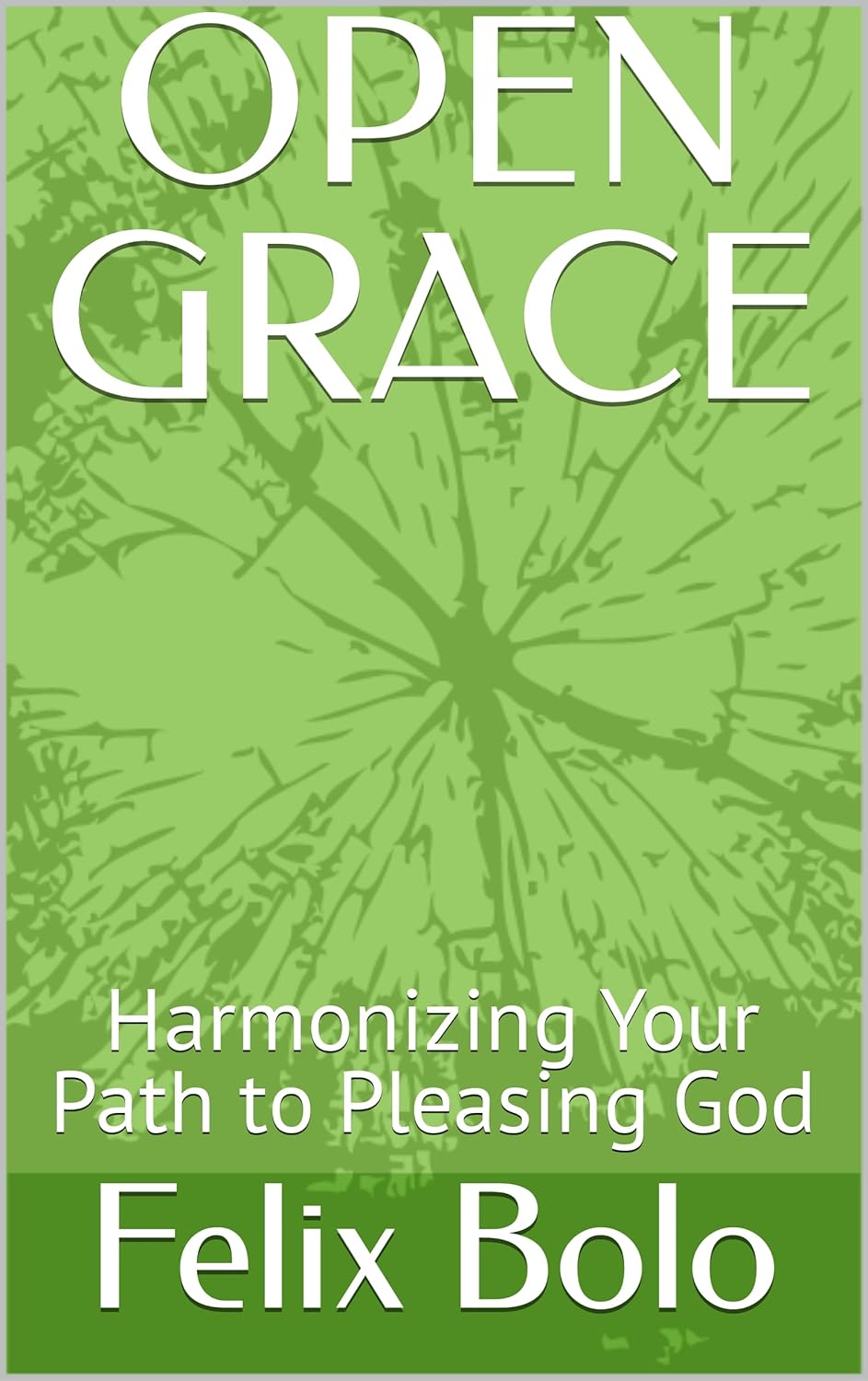 OPEN GRACE: Harmonizing Your Path to Pleasing God - Kindle edition by ...