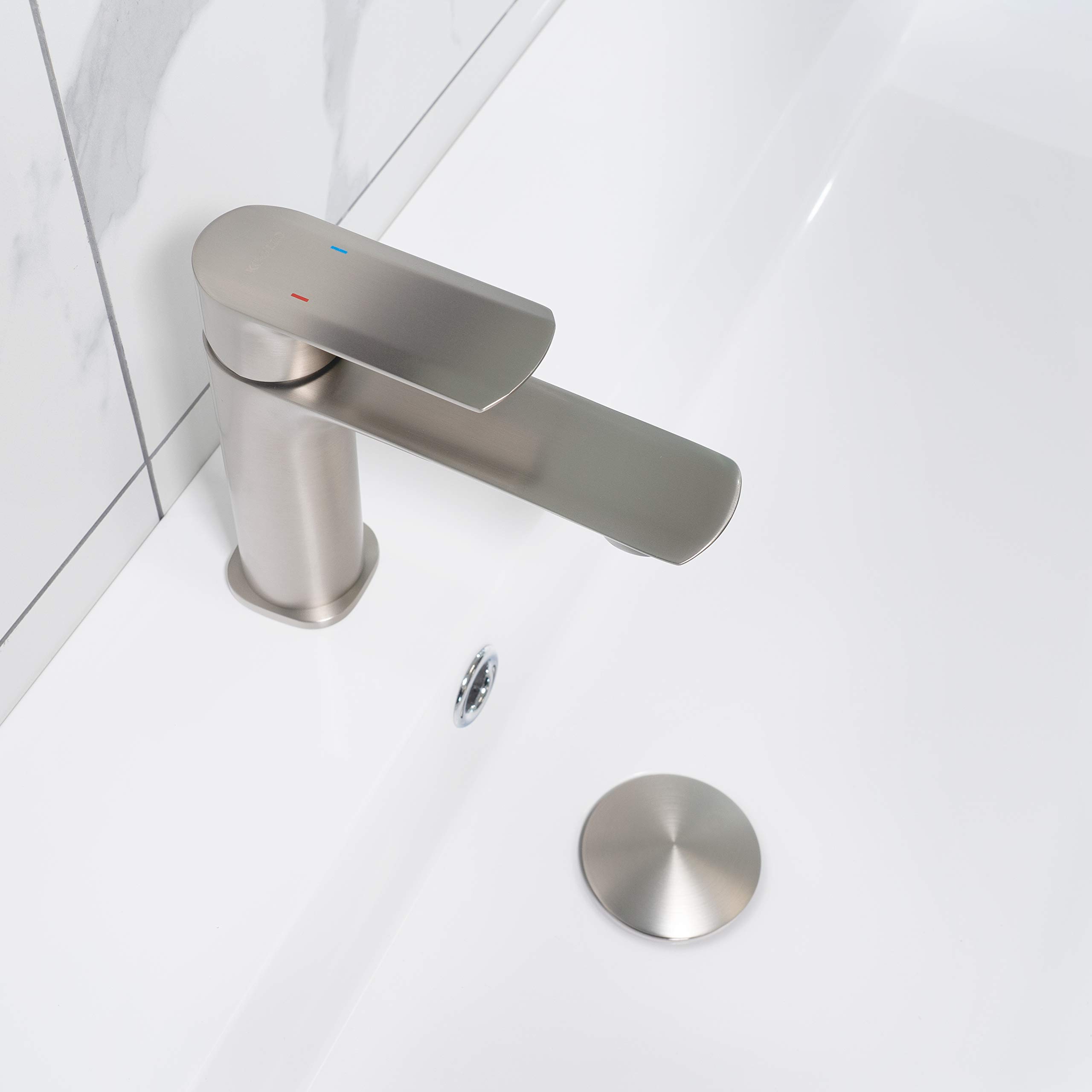 Cómo Preparas A Un Grifo Punteagudo De Pelo Duro