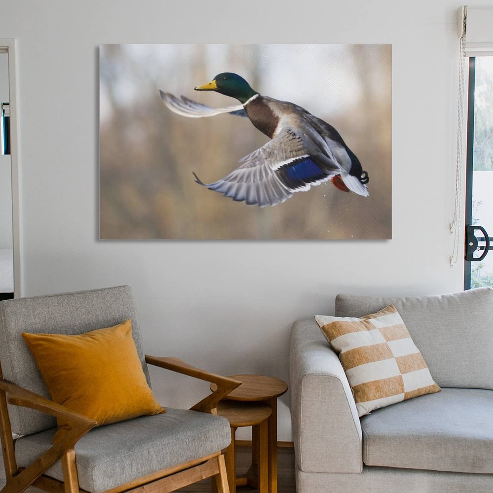 Mallard Flying Drawing