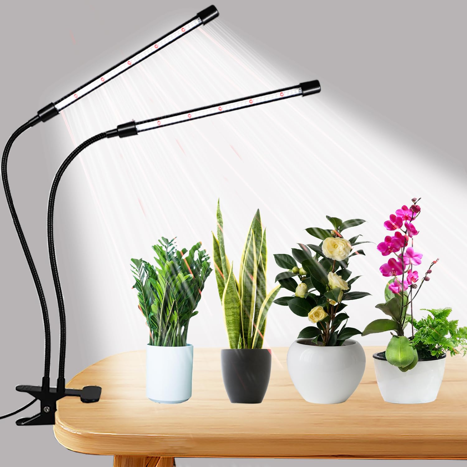 Snapklik.com : Grow Lights For Indoor Plants, Upgrade 84 LEDs Clip ...
