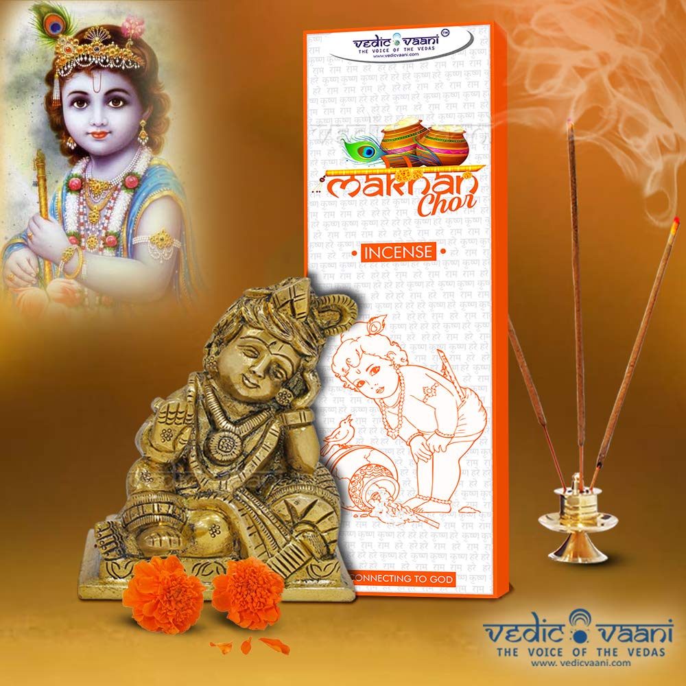 Buy Vedic Vaani Hindu God Nanha Bal Laddu Gopal Lord Sri Krishna Idol ...