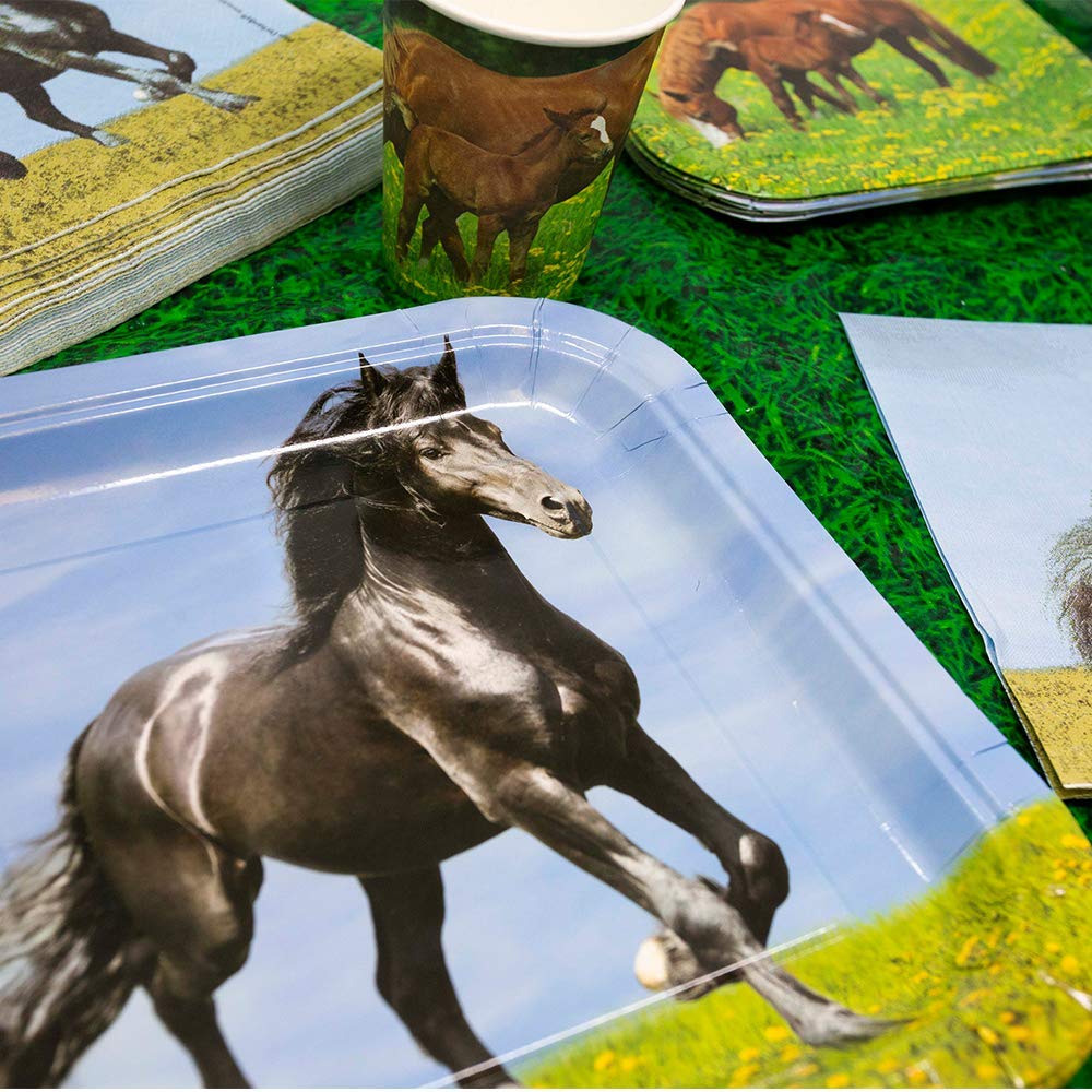 Western Theme Decorations 100 Pieces Horse Party Supplies Pack - 100 ...
