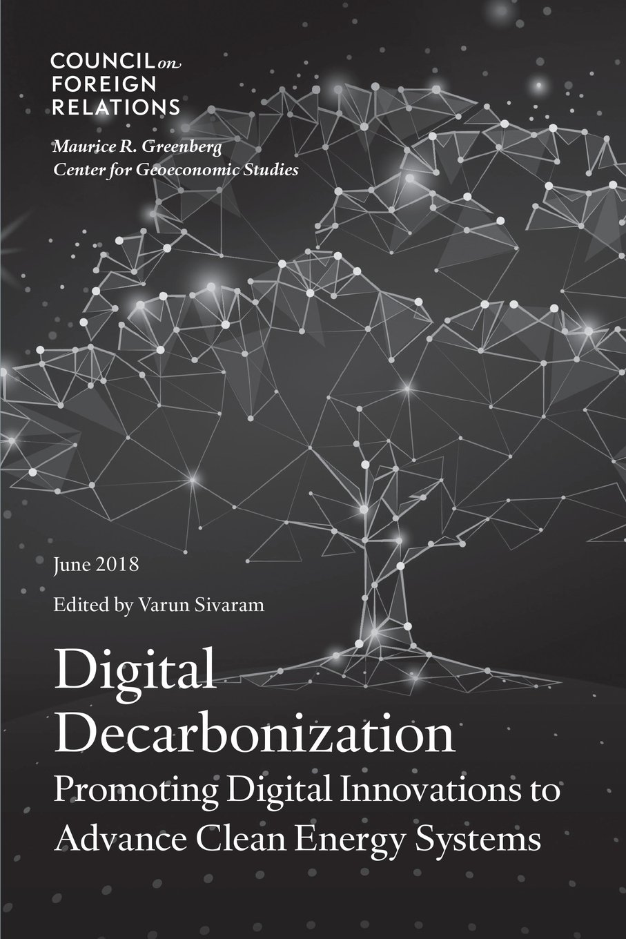Amazon.com: Digital Decarbonization: Promoting Digital Innovations to ...