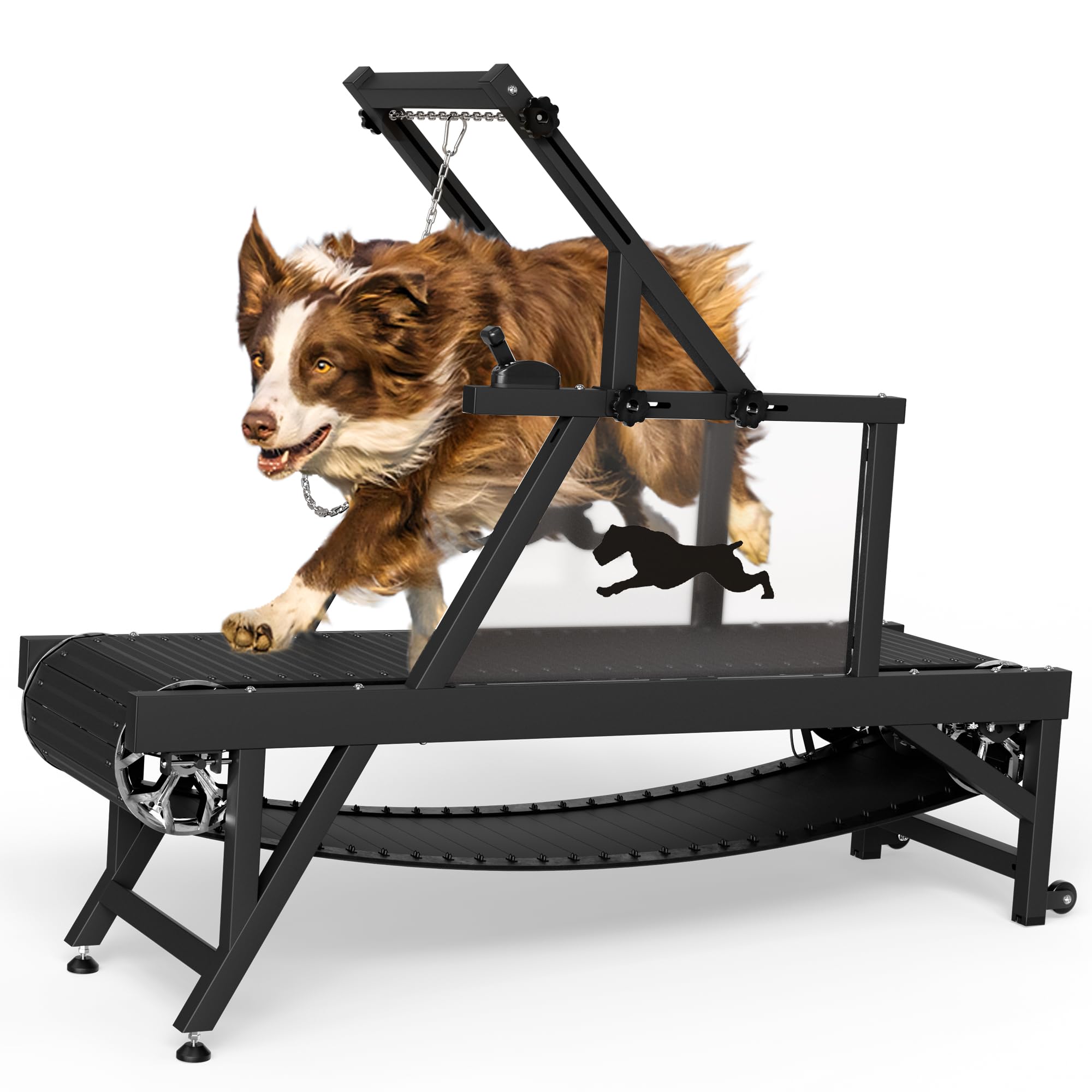 Amazon.com : HINXIETIE Dog Treadmill for Large/Medium Dogs, Doggy ...