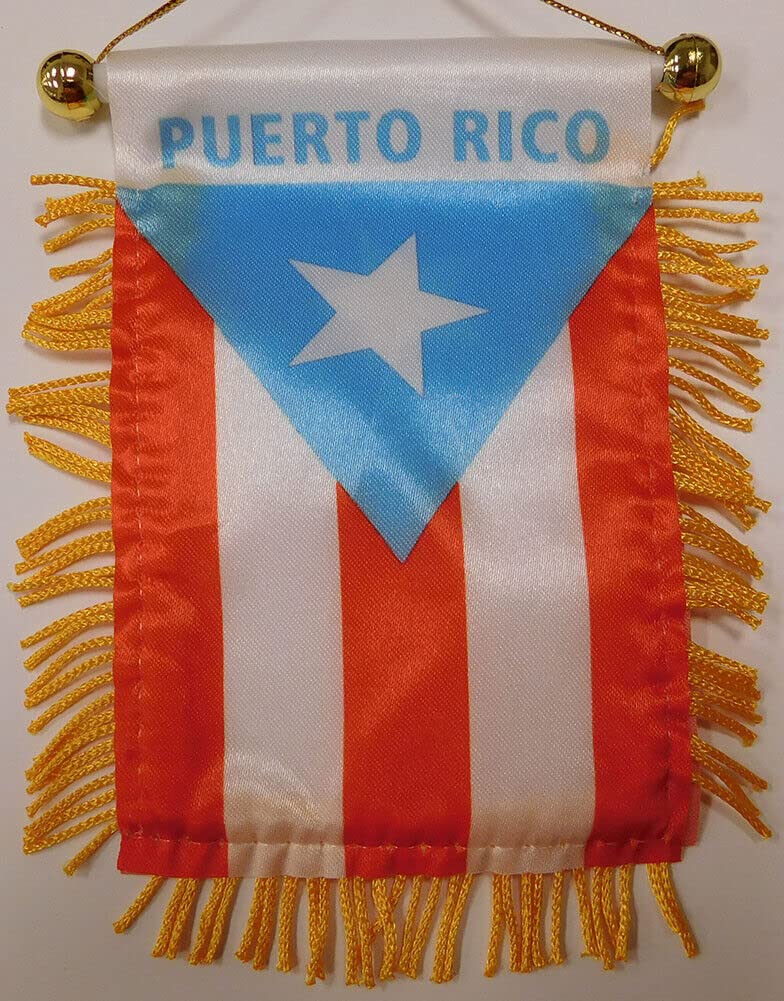 Amazon.com : Puerto Rico Light Blue 4"x6" Mini Window Banner Flag ...