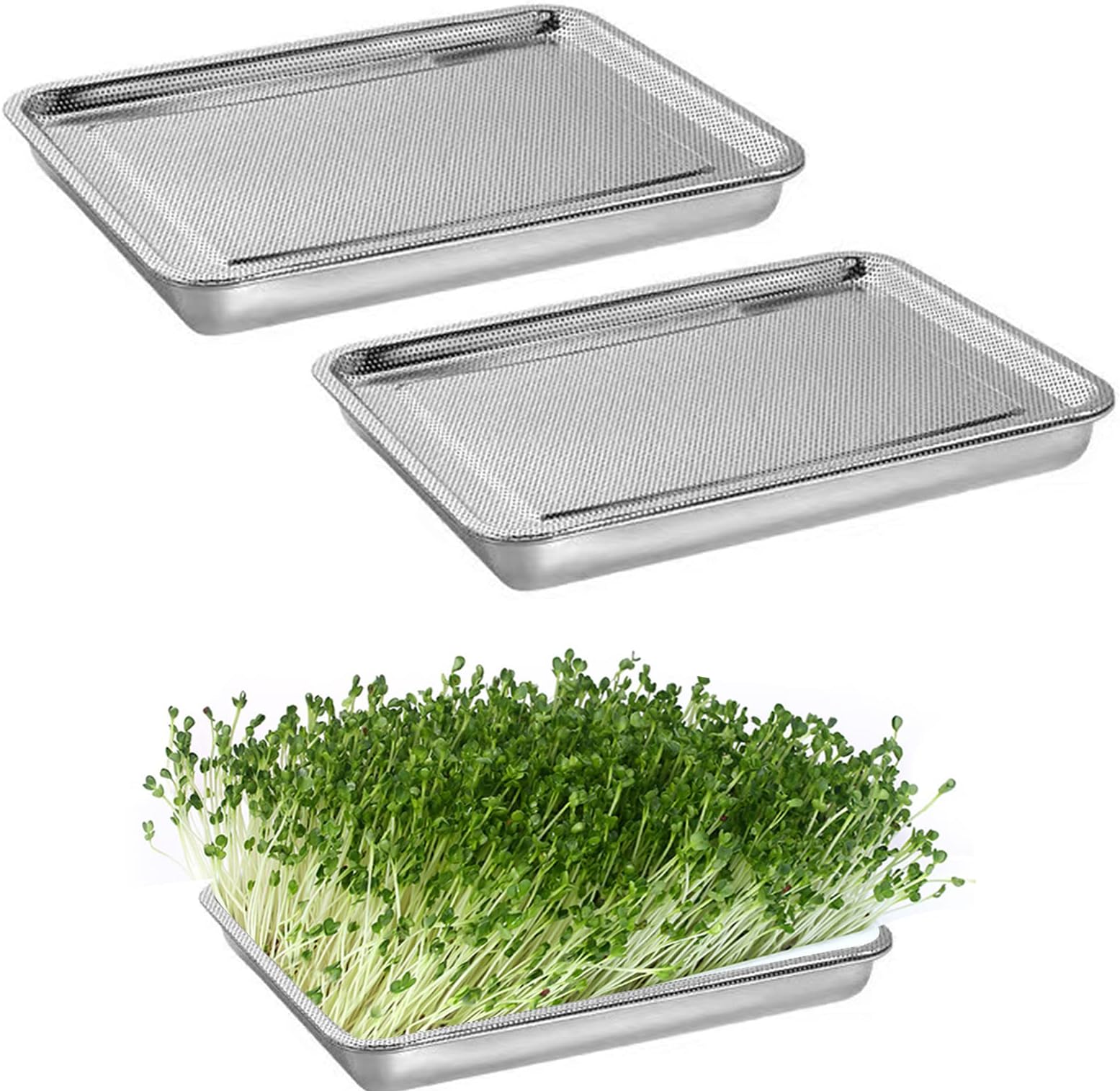 Amazon.com : Ecmln Seed Sprouter Tray,Stainless Steel Seed Germination ...