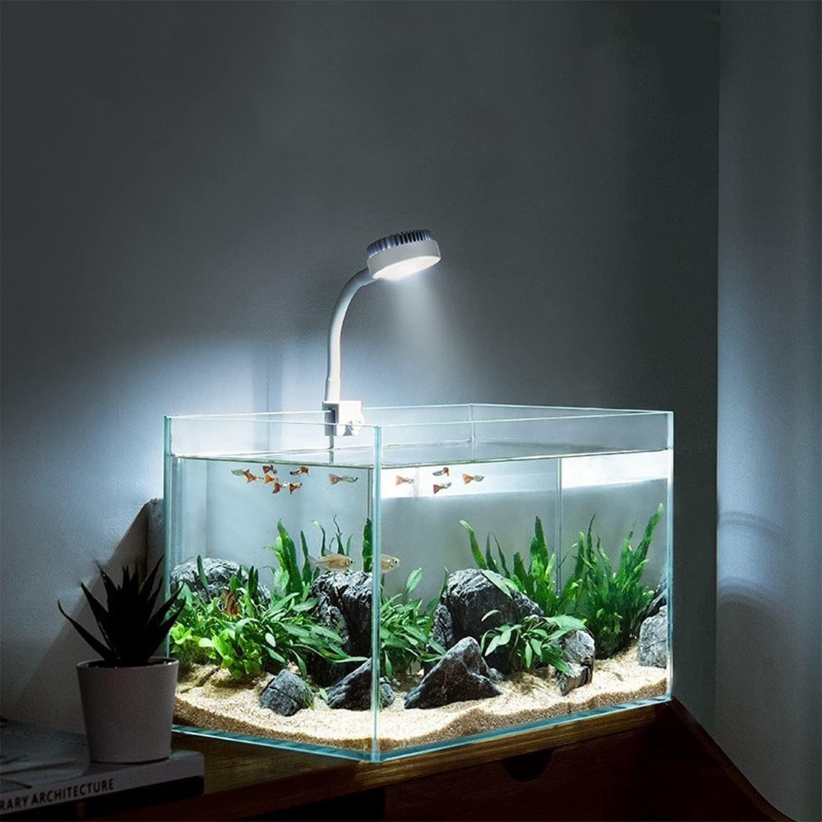 BigTron Full Spectrum Aquarium Light, Small Clip Light for Fish Tank ...