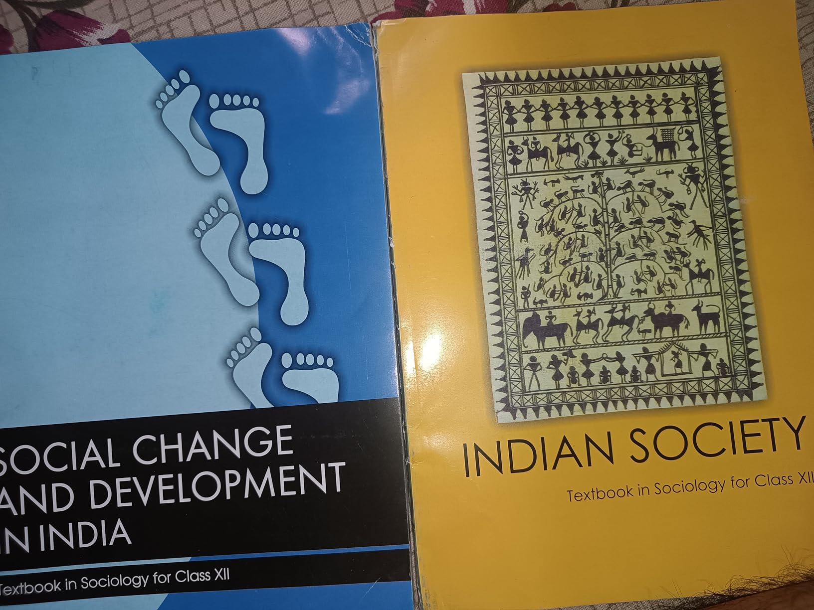 Social Change And Development In India Textbook In Sociology For Class ...