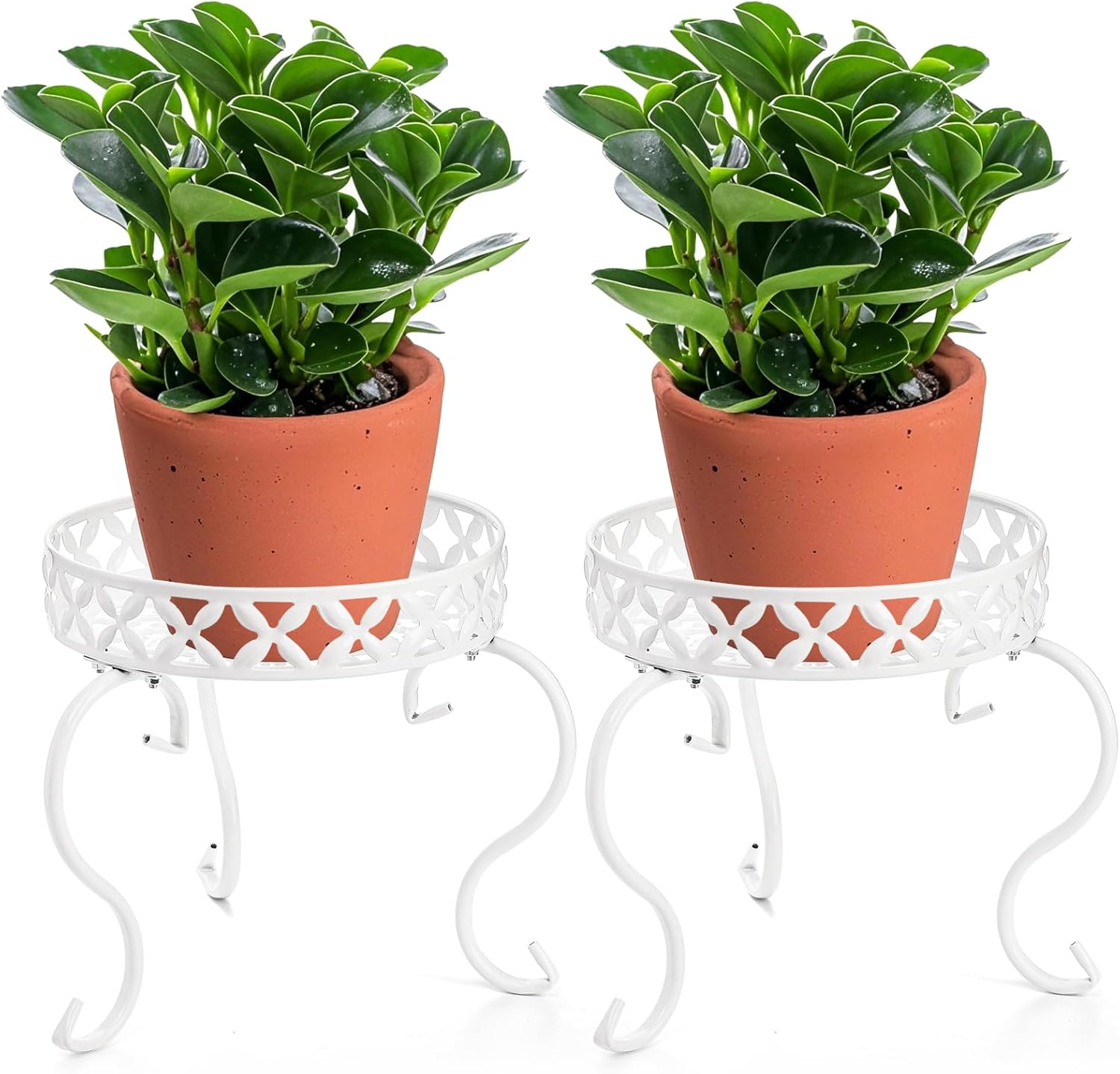 TOPZEA 2 Pack Metal Round Plant Stand, Rustproof Iron Flower Pot Holder ...