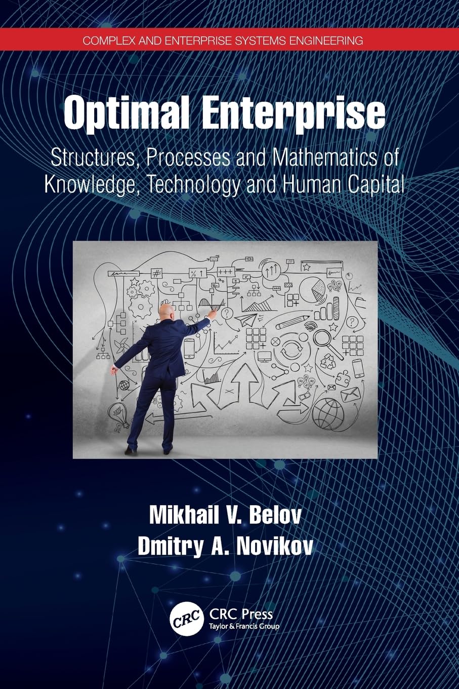 Amazon.com: Optimal Enterprise (Complex and Enterprise Systems ...