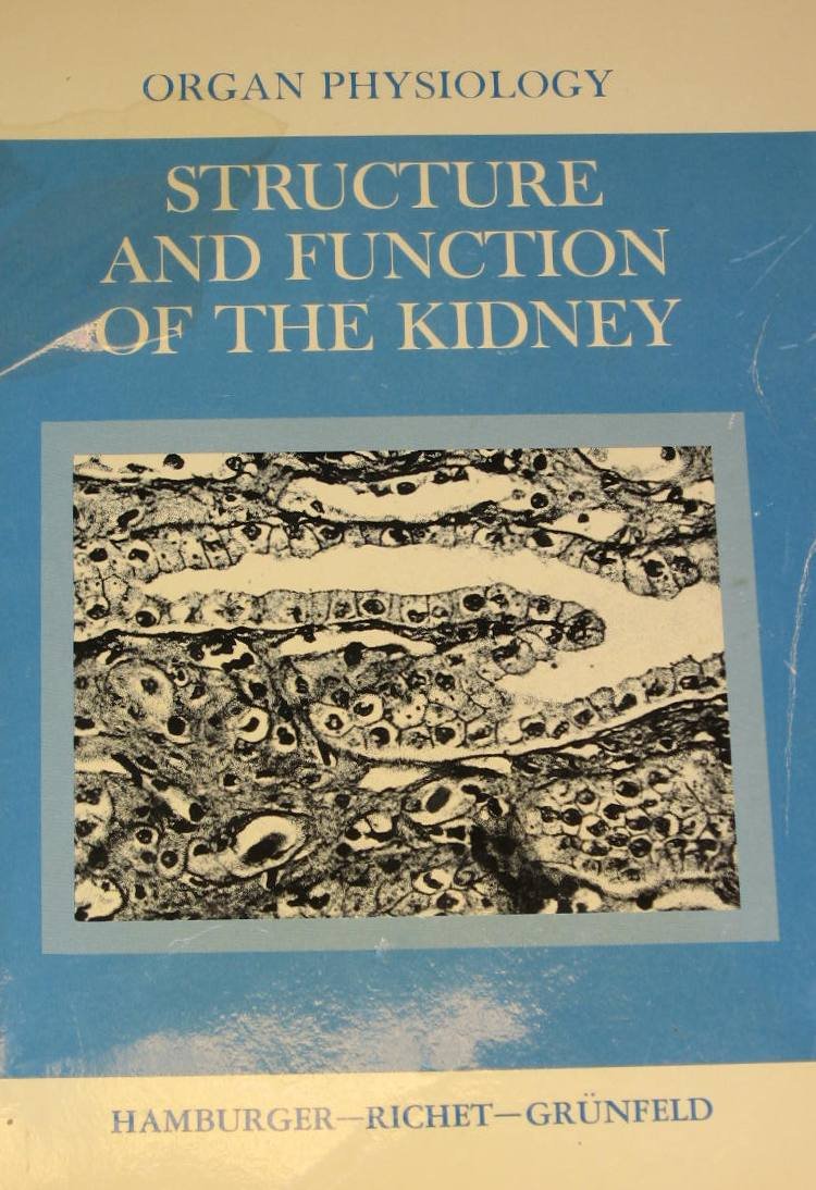 Structure and function of the kidney (Organ physiology): Hamburger ...