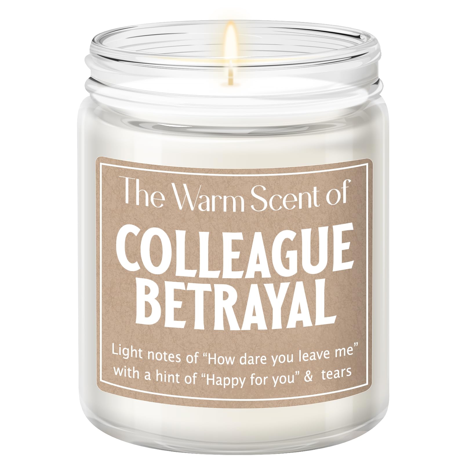 Amazon.com: Funny Going Away Gift for Coworker - Farewell Gifts for ...