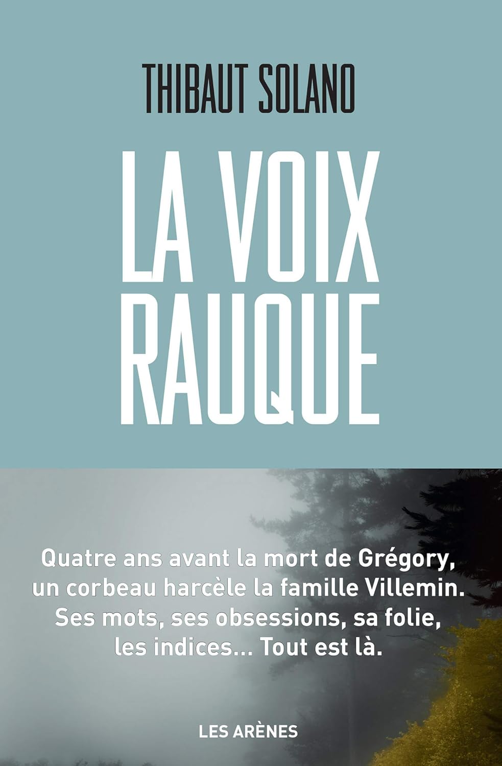 La Voix rauque (AR.ENQUETES) eBook : Solano, Thibaut: Amazon.fr ...
