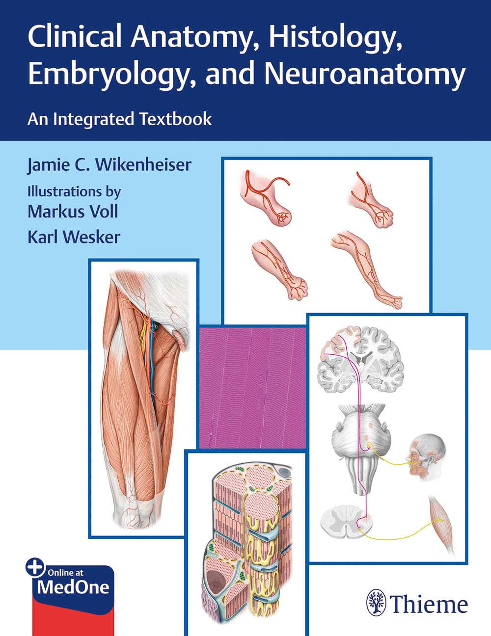 Clinical Anatomy, Histology, Embryology, and Neuroanatomy: An ...