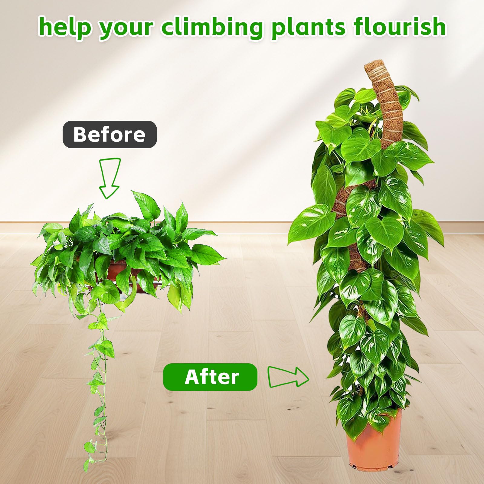 NIYATA Moss Poles for Plants, 43″ Bendable Moss Pole for Monstera ...