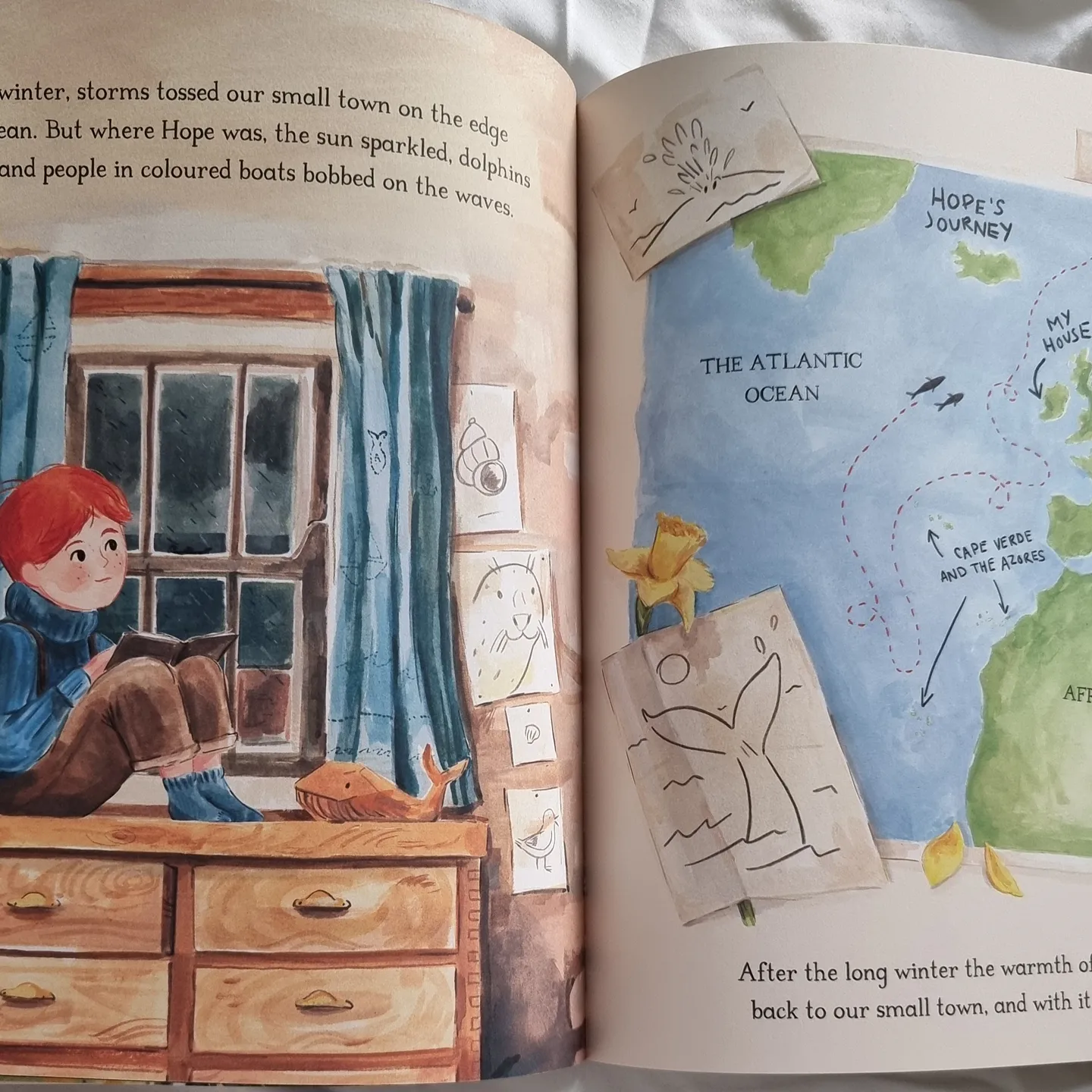 Hope the Whale: In Association with the Natural History Museum : Books ...