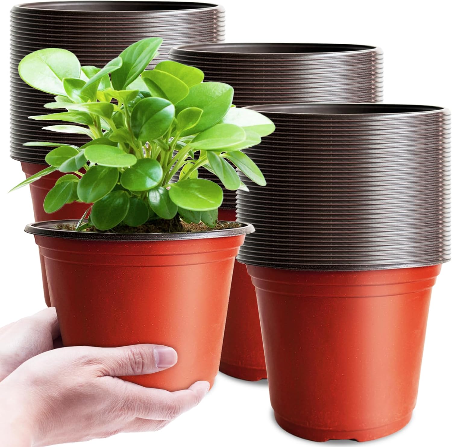 Amazon.com: Baaxxango 100 Pcs Plant Nursery Pots,6 Inch Thicker Plastic ...