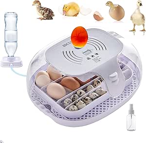 Amazon.com: 16 Eggs Incubator for Hatching Egg with Automatic Turner, Poultry Incubators for ...