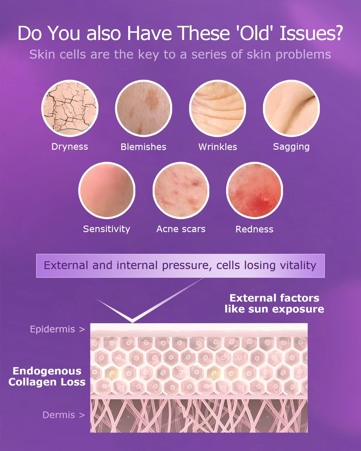 Snapklik.com : Cellular Skin Recovery Supplement Hit The Root Of Skin ...