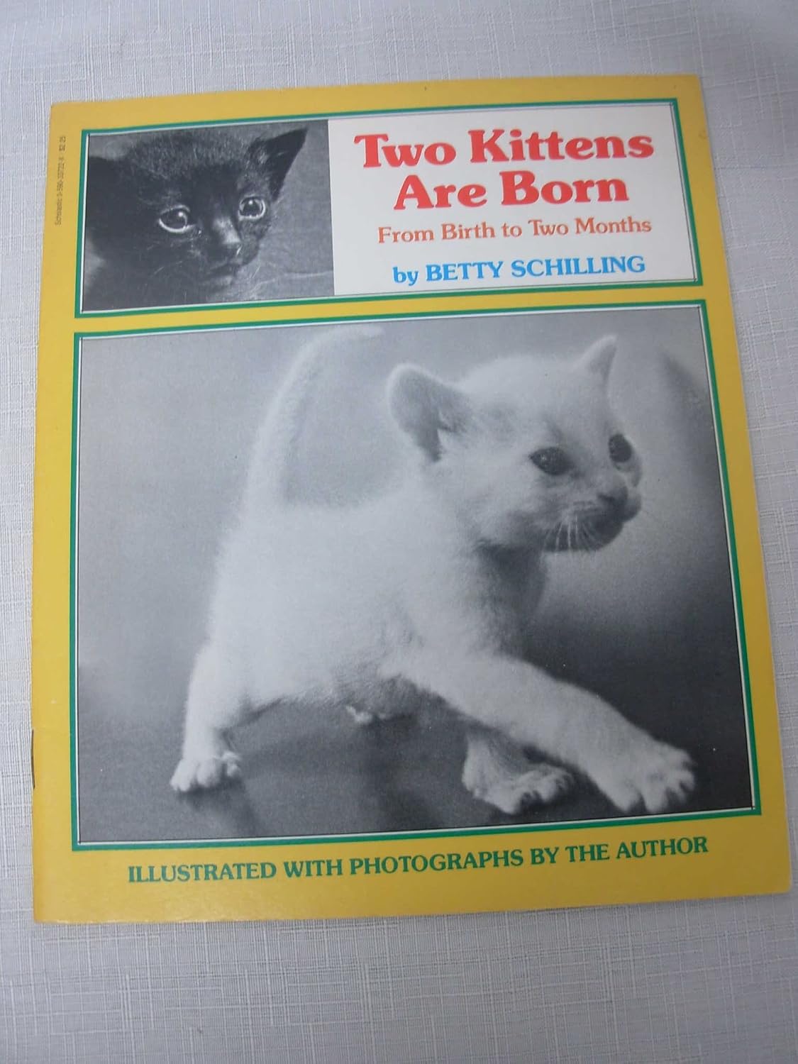 Two Kittens Are Born: Schilling, Betty: 9780590337229: Amazon.com: Books