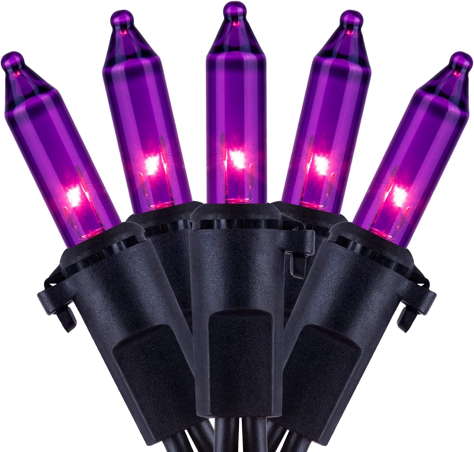 Amazon.com: YULETIME Purple String Lights with Black Wire, Pack of 2 ...