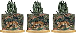 Amazon.com: BRUYU5SE Chinoiserie Tiger Planter Ceramic Green and ...
