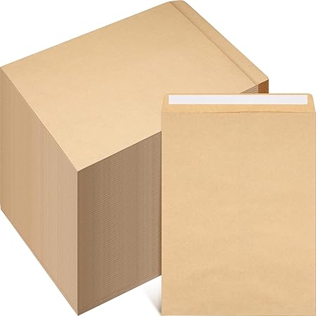 Amazon.com : 500 Pcs Self Seal Catalog Envelopes 9 x 12 Inches ...