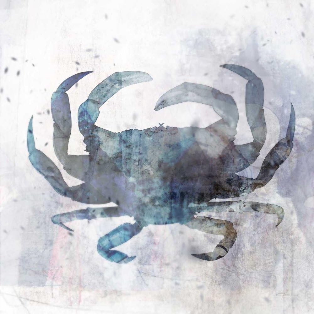 Amazon.com: Coastal Mist Crab Poster Print by Ken Roko (24 x 24 ...