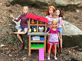 Barbie Careers Playset, Chicken Farmer Set with Fashion Doll with Red ...