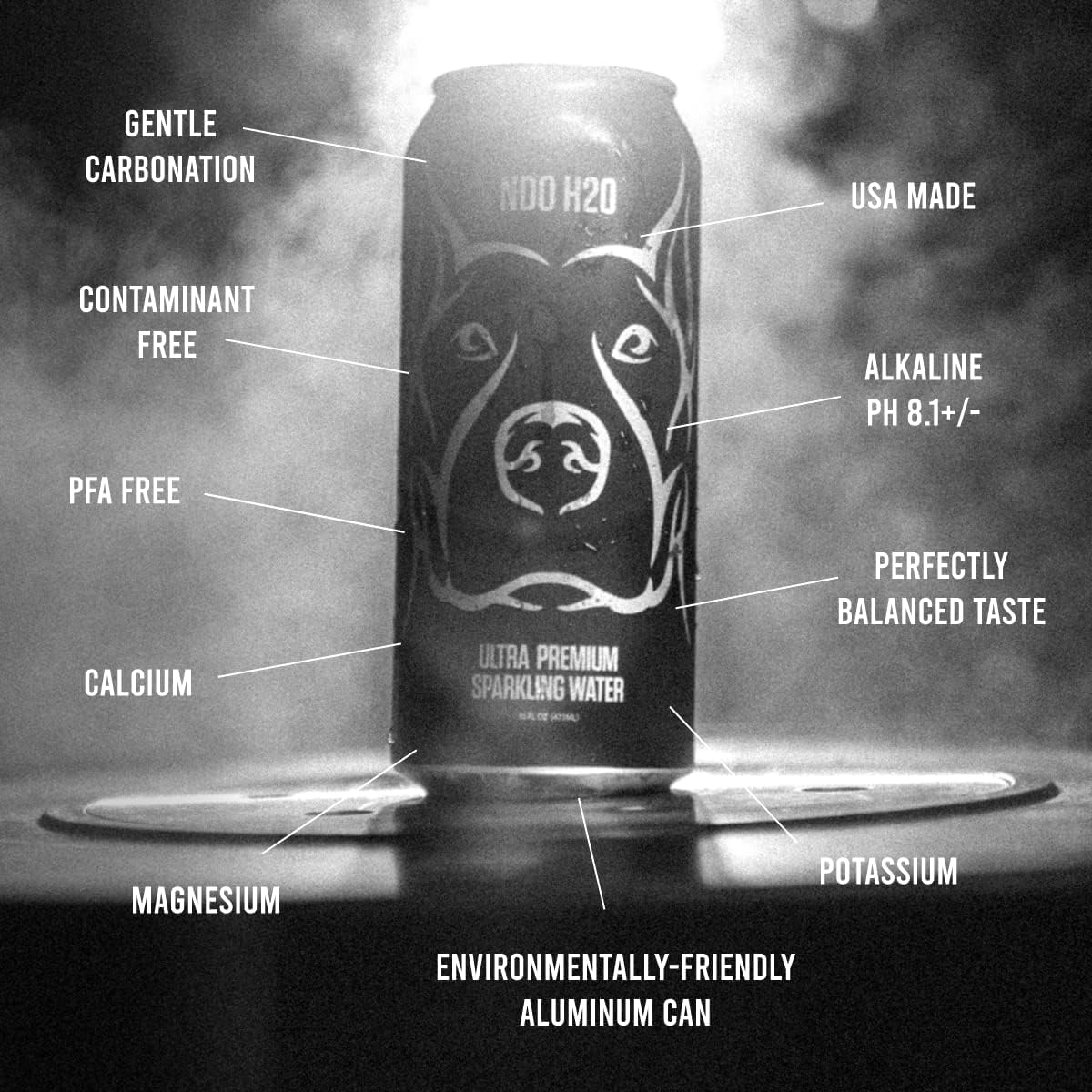 Snapklik.com : No Days Off Premium Sparkling Water (NDO H20), 12 Pack ...