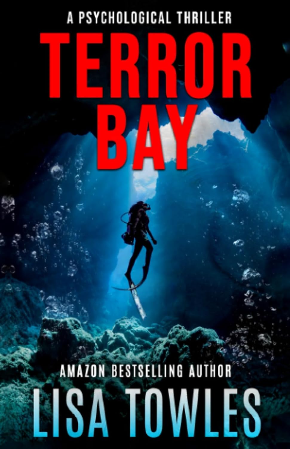 Amazon.com: Terror Bay: 9781644566084: Towles, Lisa: Books