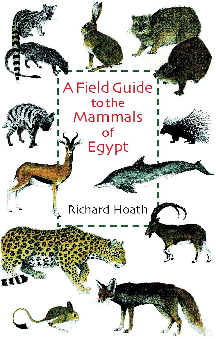 A Field Guide to the Mammals of Egypt , Hoath, Richard - Amazon.com