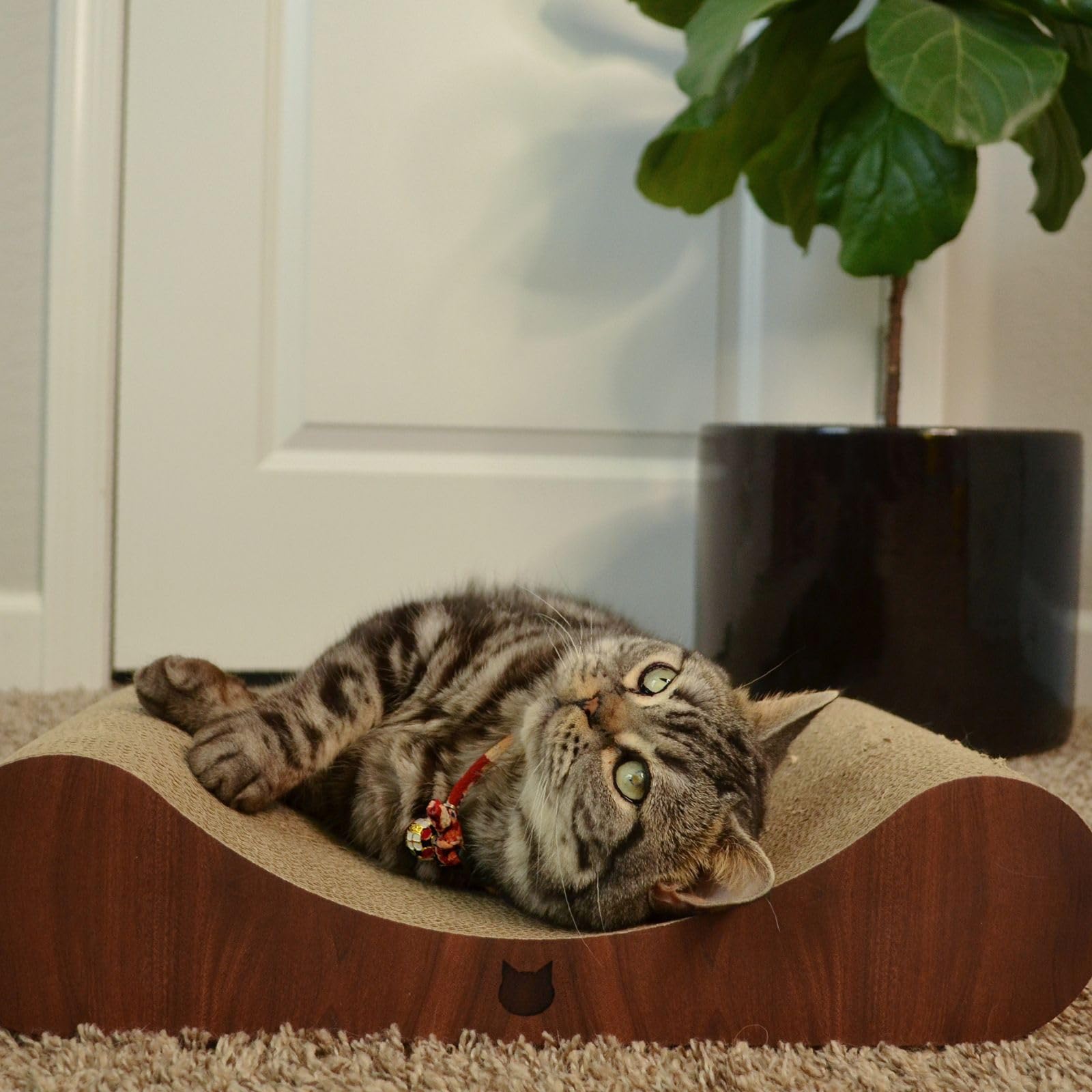 Snapklik.com : Necoichi Cardboard Cat Scratcher Lounger For Indoor Cats ...