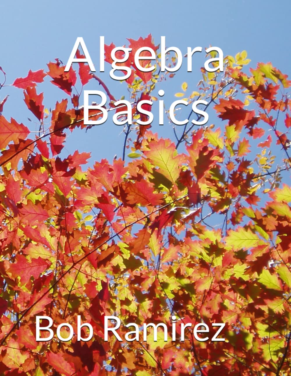 Algebra Basics: Ramirez, Bob: 9798846691957: Amazon.com: Books