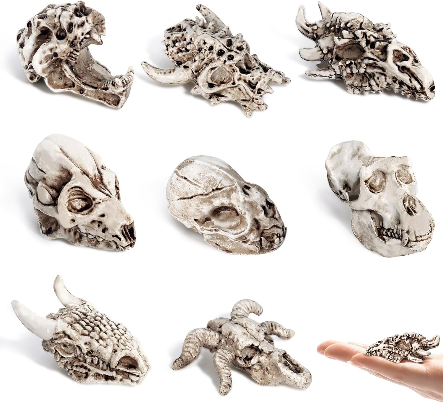 Bbiamsleep 8 Pcs 2.3 Inch Animal Skulls Figurine Resin Mini Skulls ...