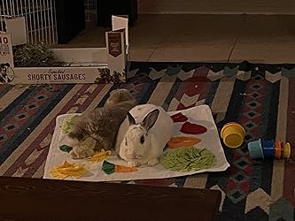 Amazon.com: TOKIHUT Rabbit Foraging Mat - Large 25" x 25" Boredom ...