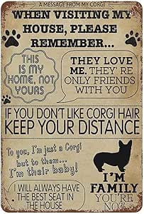 Amazon.com: Youpinnong Vintage Metal Tin Signs A Message from My Corgi ...