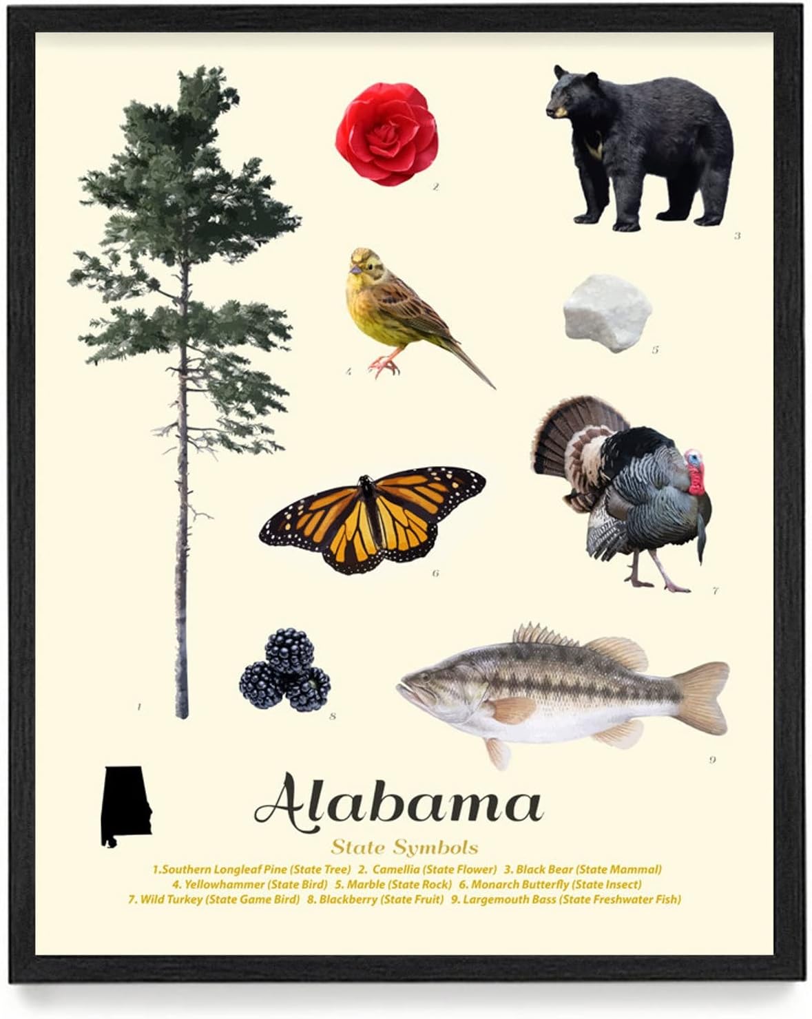 Amazon.com: Wunderkammer Studio - Alabama State Symbols Poster Print ...