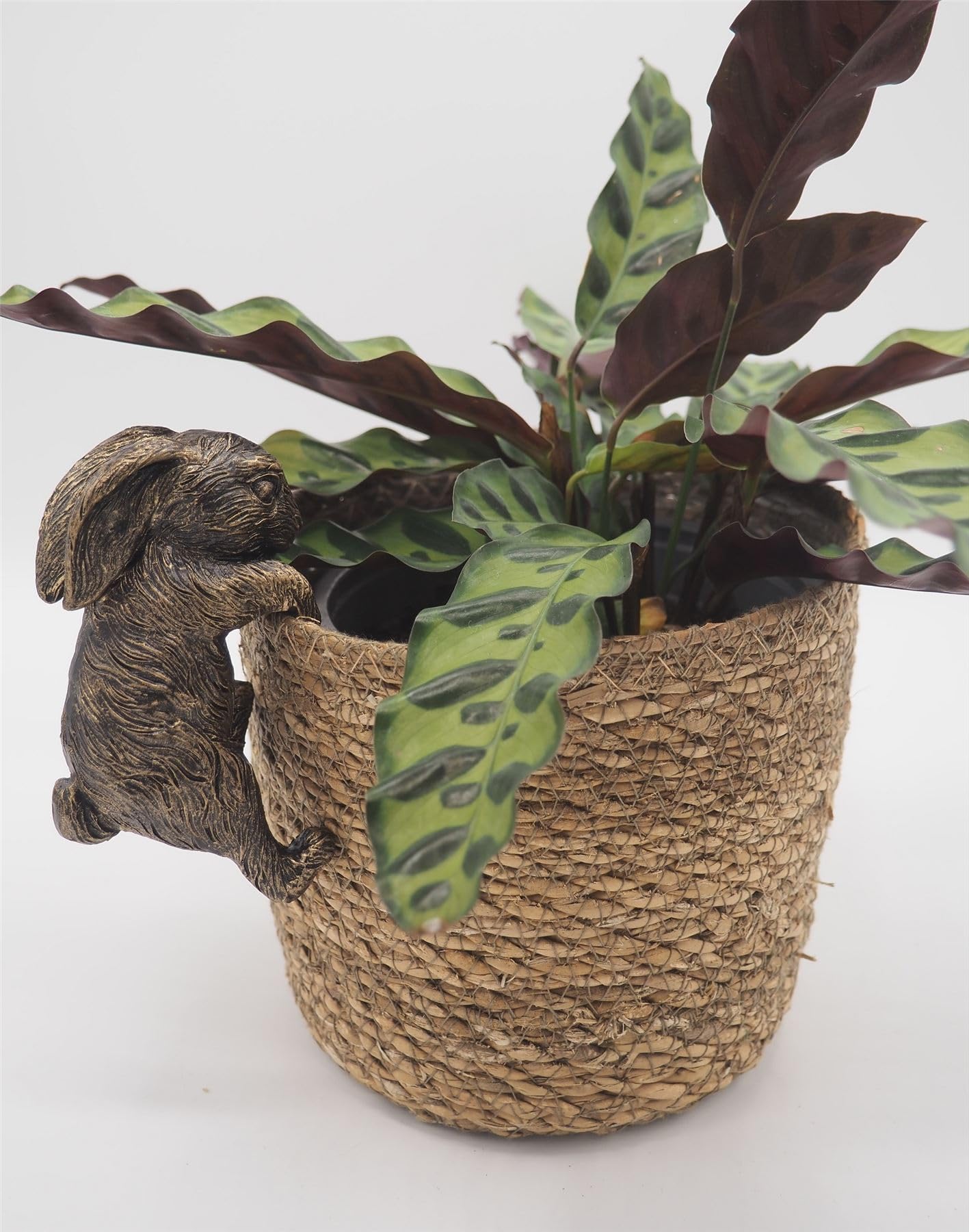 Amazon.com : Rabbit Pot Buddies Plant Pot Hanger : Patio, Lawn & Garden