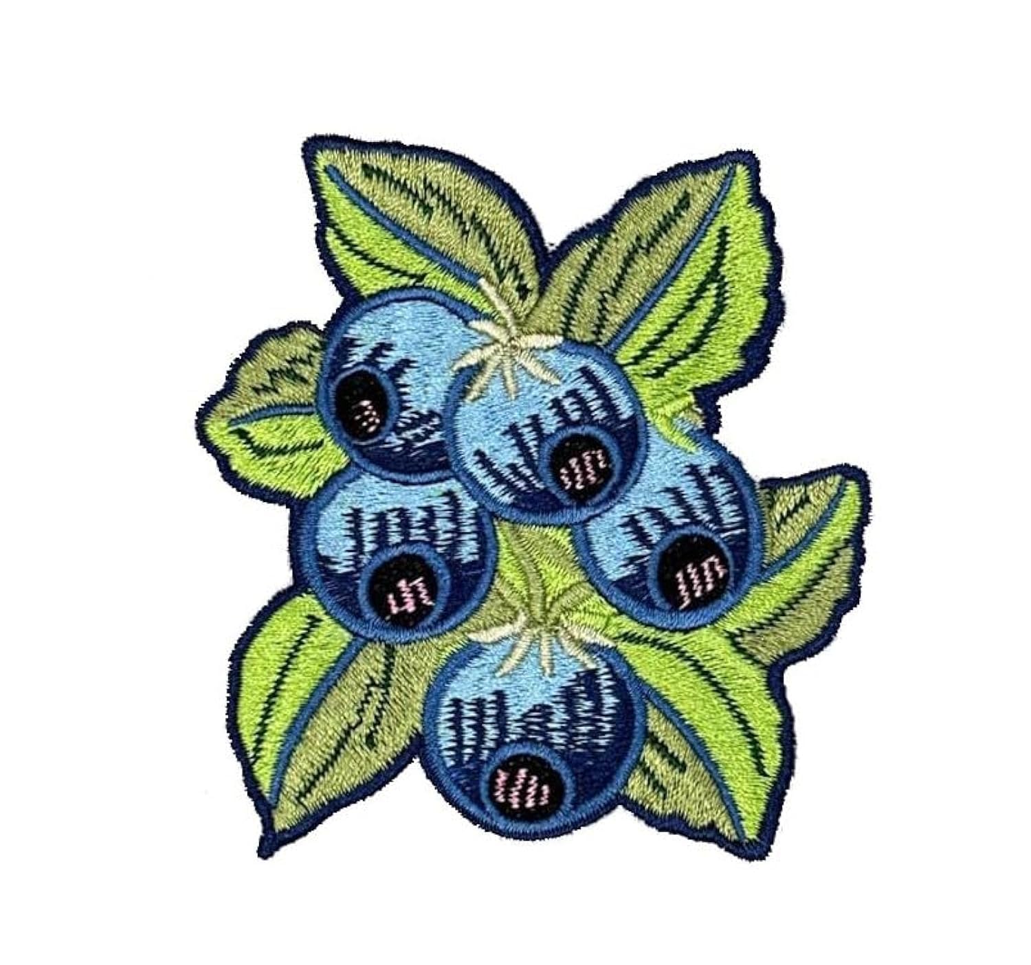 Amazon.com: Blueberry Patches for Jackets, Clothing, Dress, Jeans, Hat ...