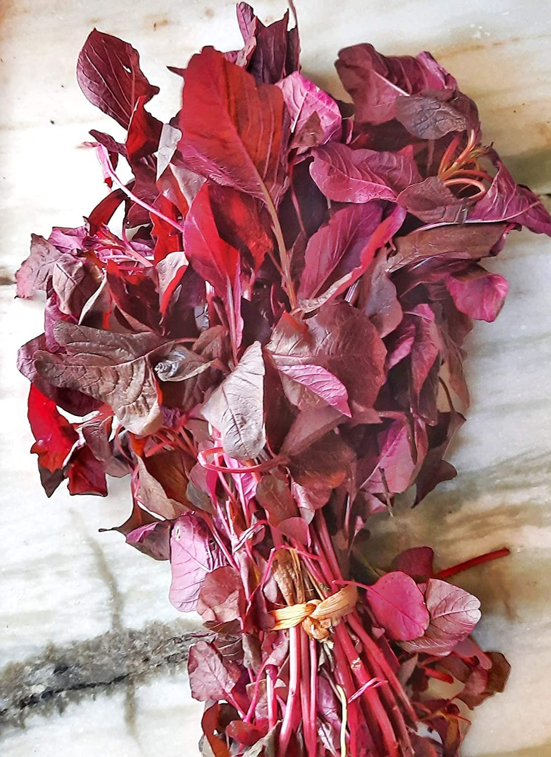 Chillatai RED CHEERA SEEDS/RED AMARANTHUS 1500 SEEDS : Amazon.in ...