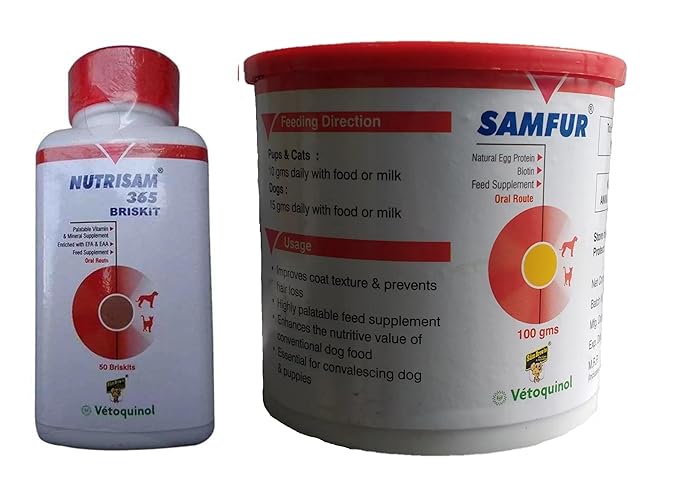 SAVSUBH Nutrisam Briskit Multivitamin Supplement - 50 Tablets with ...