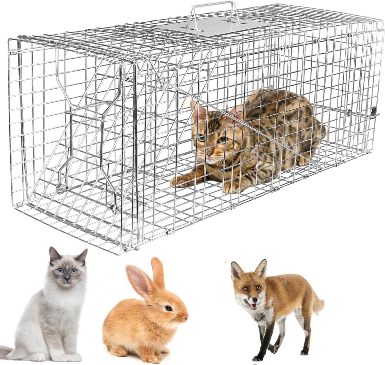 Amazon.com : Live Animal Trap Cage, Large Humane Cat Trap Catch Release Animal Rodent Cage ...